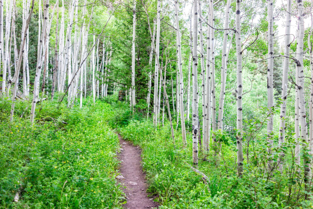 The Ultimate List of Things To Do in Aspen in the Summer - The Mountain ...