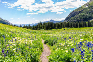 The Ultimate List of Things To Do in Aspen in the Summer - The Mountain ...